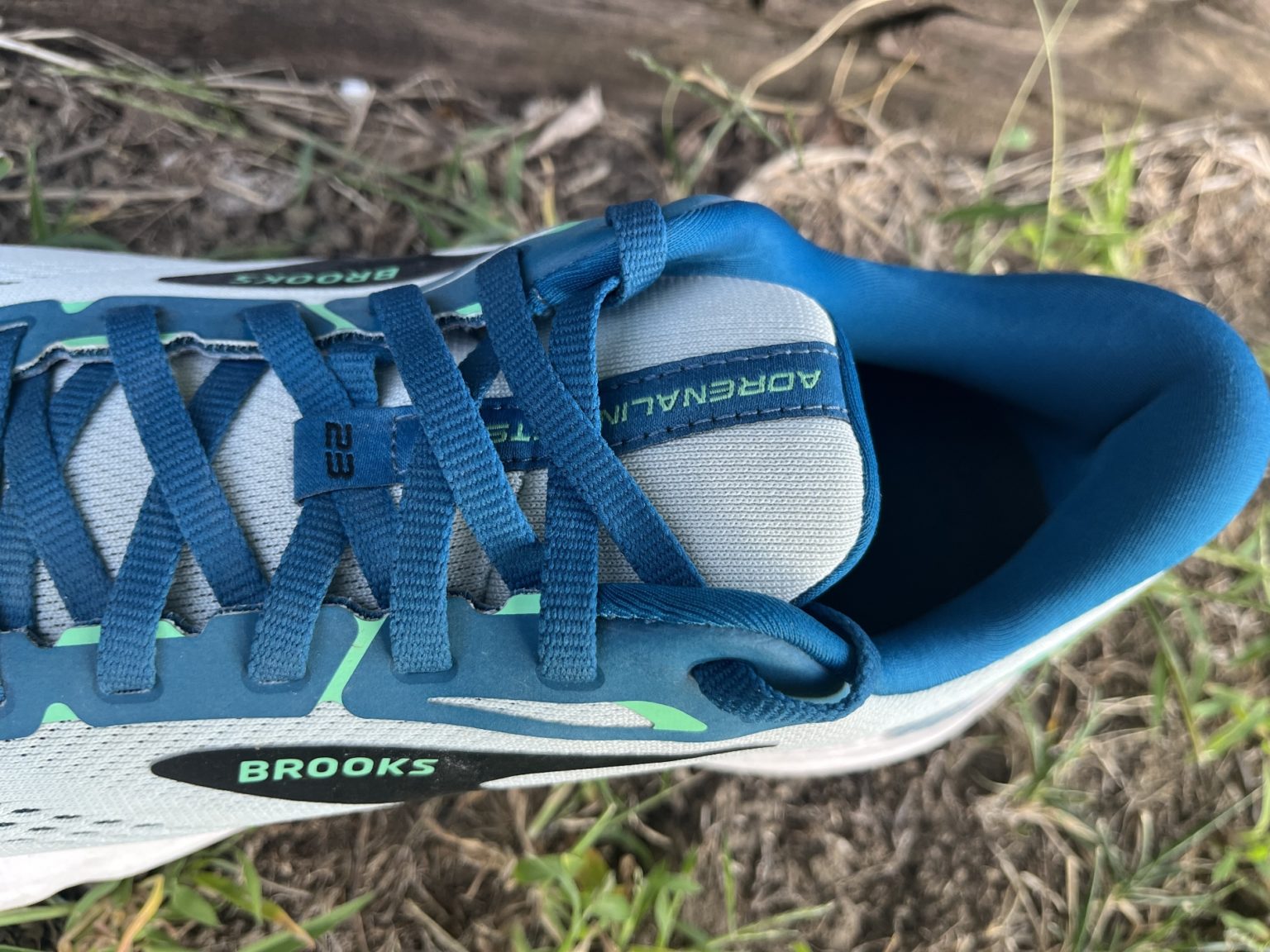 Brooks Adrenaline GTS 23 Review | Running Shoes Guru