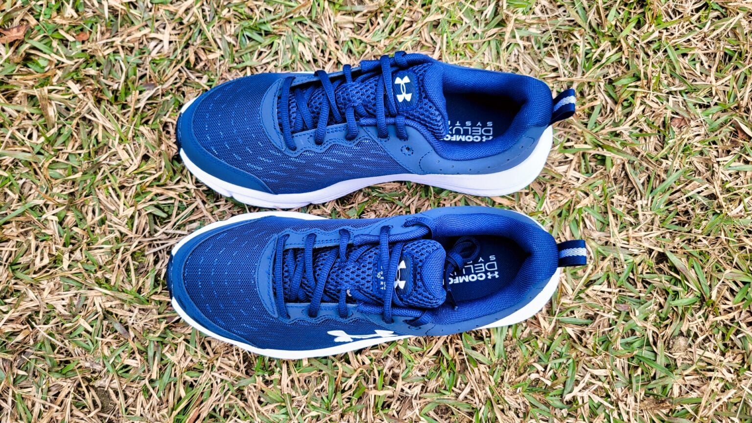Under Armour Charged Assert 10 Review | Running Shoes Guru