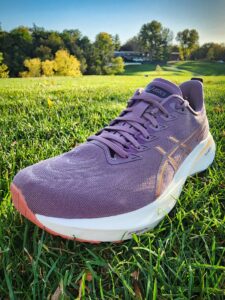ASICS GT 2000 13 Review | Running Shoes Guru