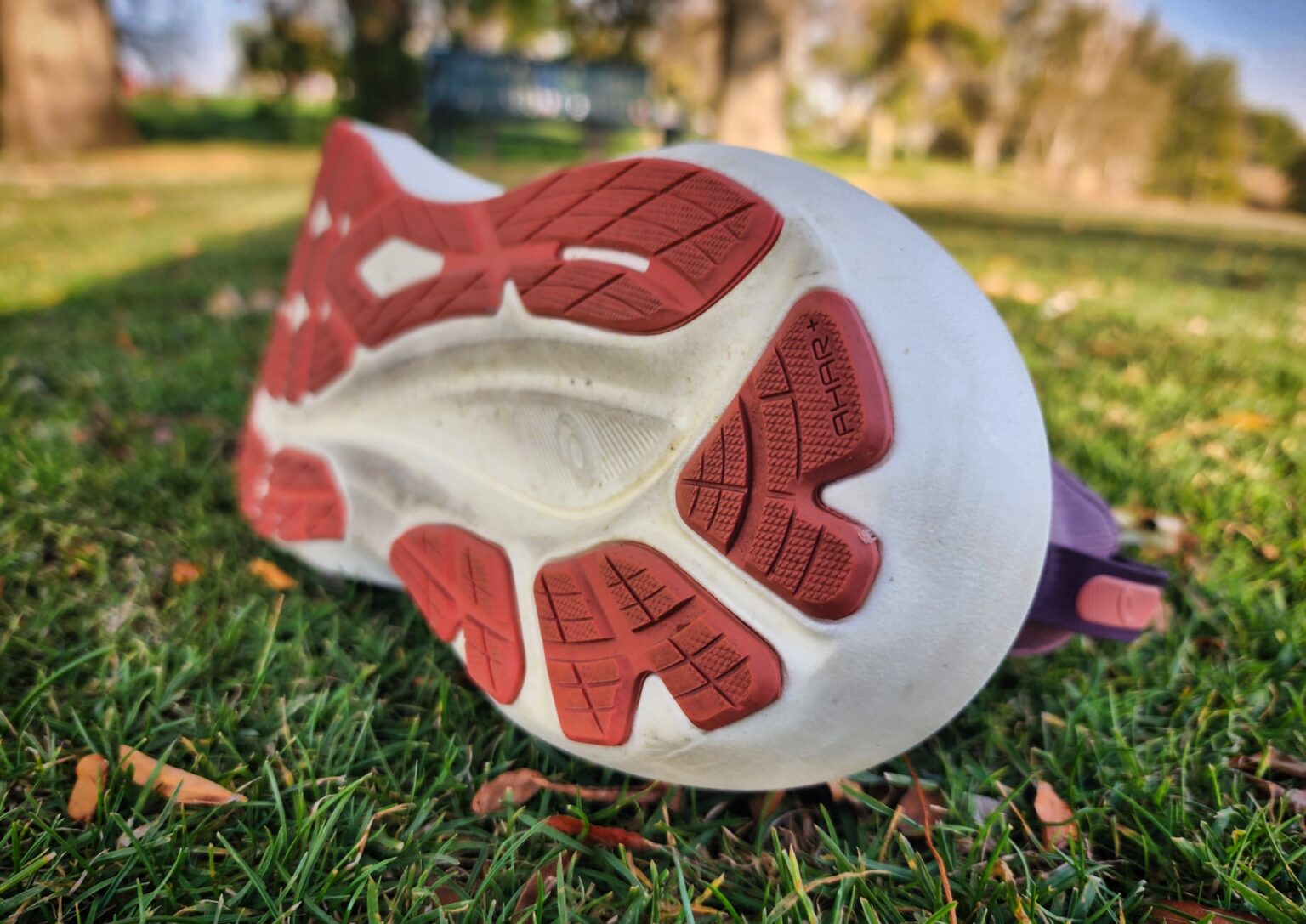 ASICS GT 2000 13 Review | Running Shoes Guru